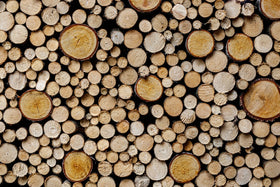 Sequoia Wood Core Flooring – woodcoreflooring.com